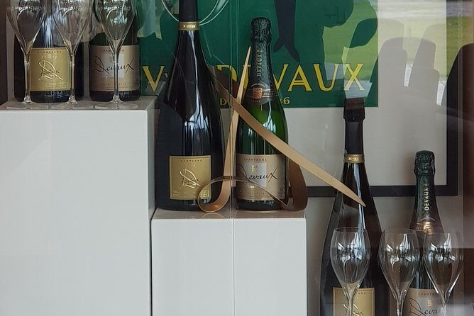 Yarra Valley Wine Tasting Day Tour from Melbourne - Who Should Book This Tour?