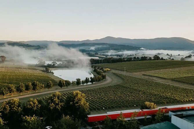 Yarra Valley Wine Tasting Private Tours - Final Thoughts