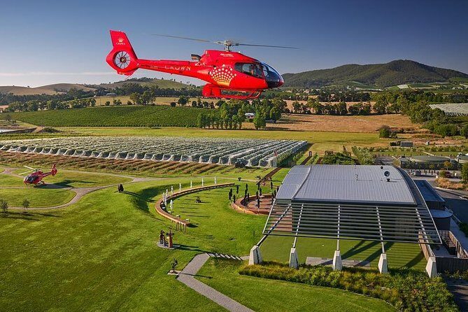 Yarra Valley Wine & Wildlife - Private Regional Tour - Practical Considerations