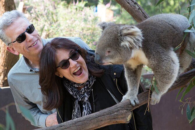 Yarra Valley Wine & Wildlife - Private Regional Tour - Who Would Love This Tour?