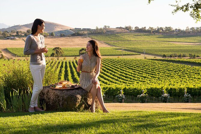 Yarra Valley Wineries Private Day Tour - Key Points