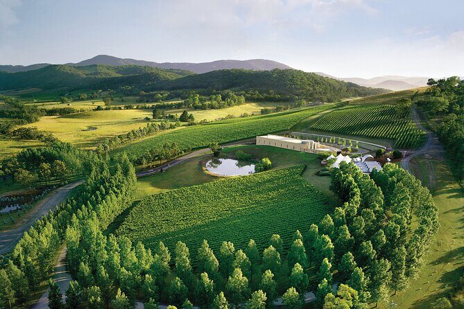 Yarra Valley Wineries Private Day Tour - Why the Yarra Valley Wineries Private Day Tour is Worth Considering