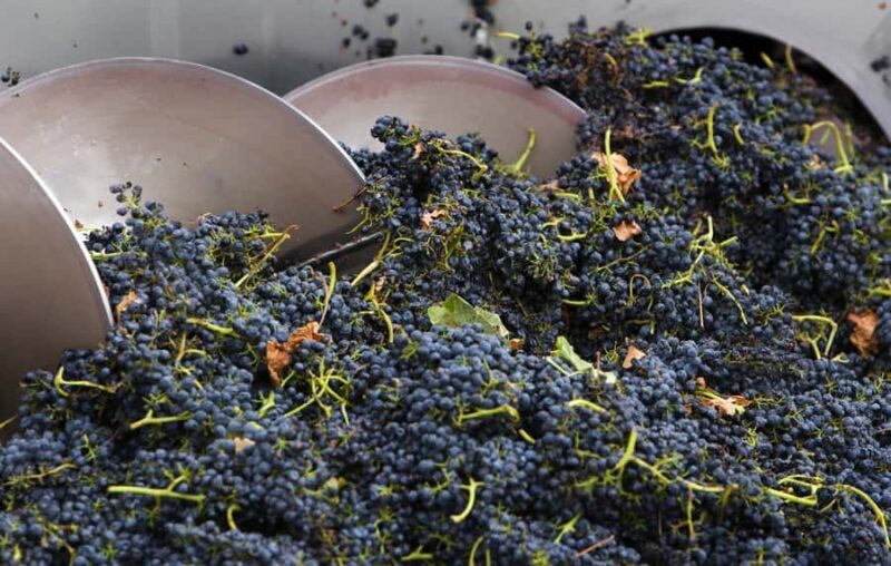 Yarra Valley: Winery Tour with Lunch at Yering Station - Key Points