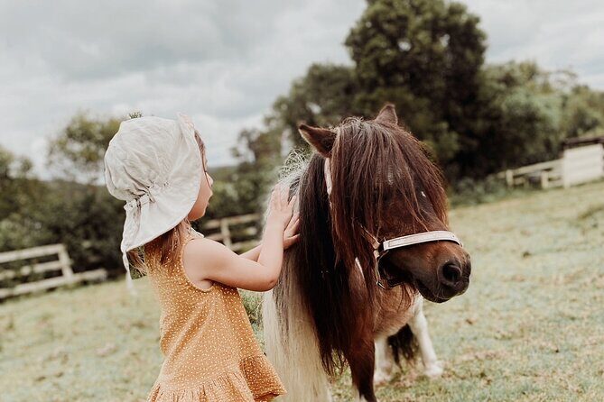 Yarramalong Valley Horse Farm Tours - The Overall Value