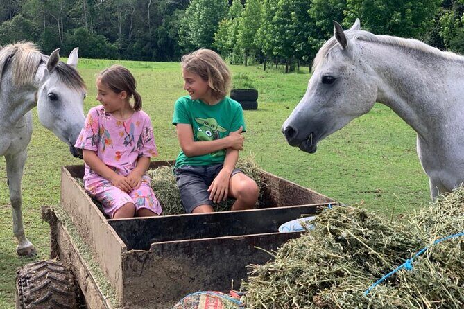 Yarramalong Valley Horse Farm Tours - Who Will Love This Tour?