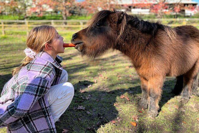 Yarramalong Valley Horse Farm Tours - The Sum Up