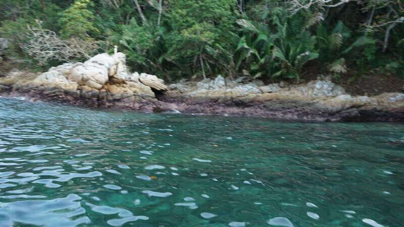 Yelapa: Catamaran Cruise with Lunch and Open Bar - Practical Details and Tips