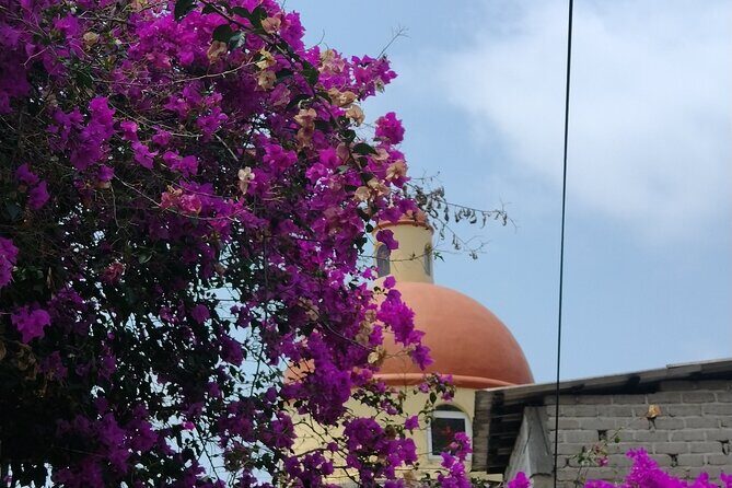 Yelapa escape - What to Expect From This Tour