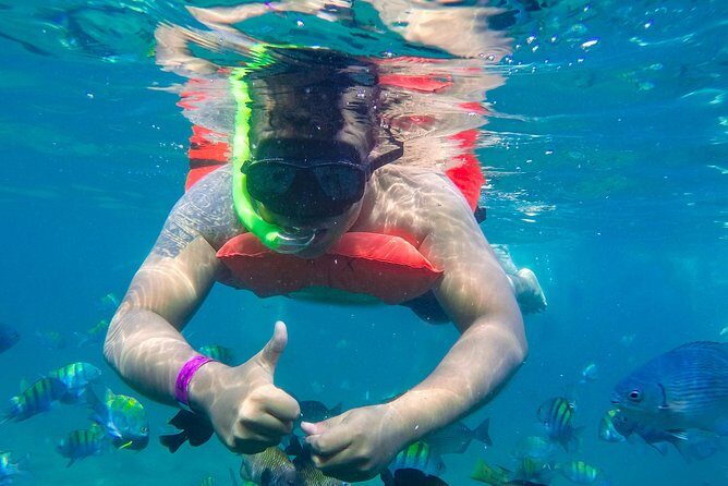 Yelapa Waterfall, BBQ at Exclusive Majahuitas Beach & Open bar - Practical Details and Tips