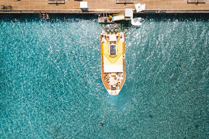 Yellow Boat Cruises: Morning Family Blue Lagoon & Turtle Cruise - Practical Details and Why They Matter