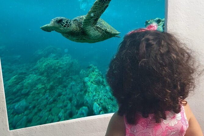 Yellow Semi Submarine Mini Cruise with a Swim Stop - Key Points