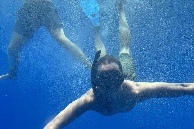 Yellow Semi Submarine Mini Cruise with a Swim Stop - Who Should Consider This Tour?