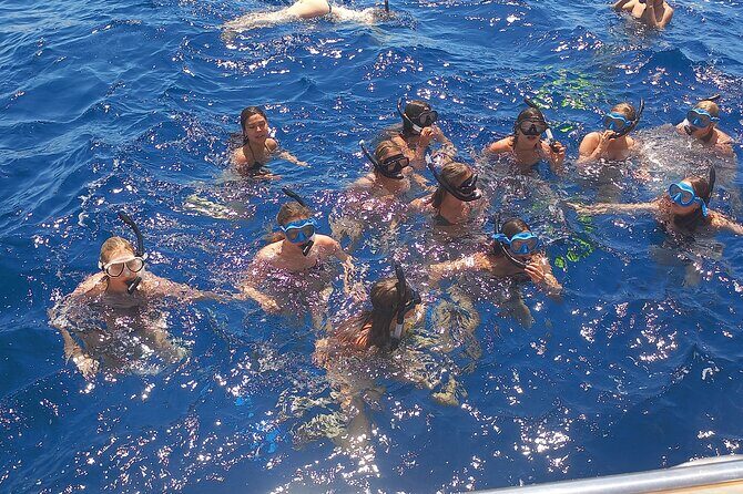 Yellow Submarine Swimming Cruise with Unlimited Drinks - Final Thoughts: Is It Worth It?