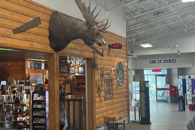 Yellowknife Airport Shuttle - Is It Worth the Price?