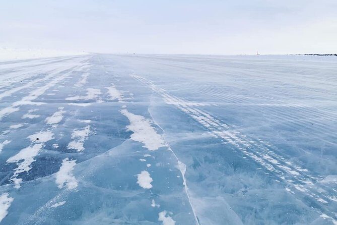 Yellowknife City Tour + Nature's North Wildlife Gallery - What Makes This Tour Stand Out?