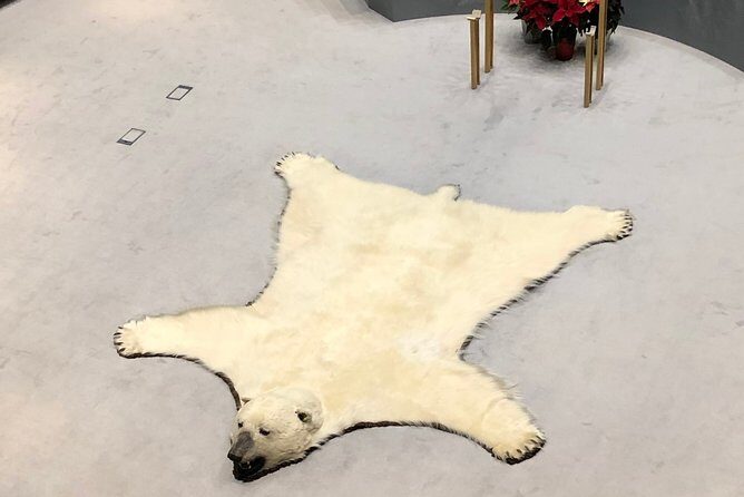 Yellowknife City Tour + Nature's North Wildlife Gallery - Who Will Love This Tour?