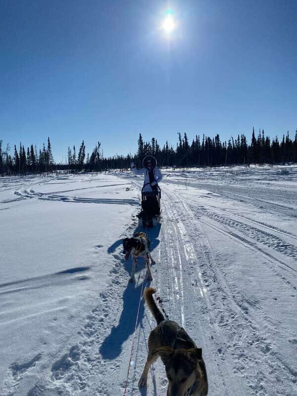 Yellowknife: Dog Sledding Tour - Frequently Asked Questions