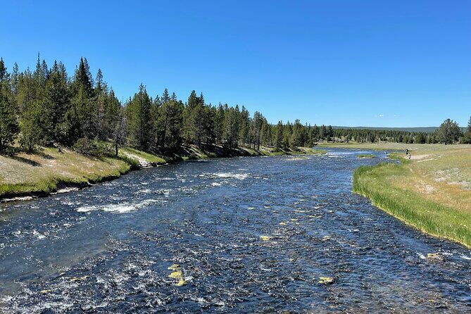 Yellowstone Bus Tour - Exploring the Upper and Lower Loops