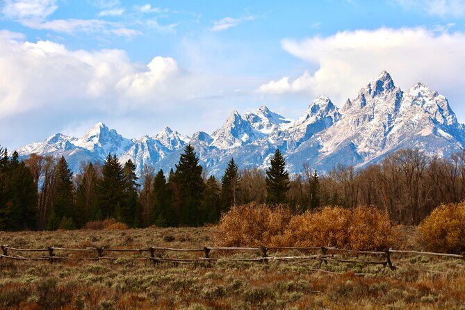 Yellowstone Full Day Tours - Exploring Yellowstone with Scenic Safaris: What to Expect