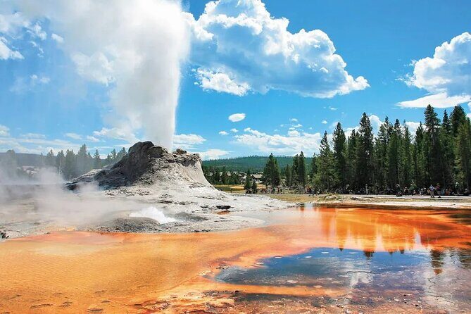 Yellowstone Grand Teton and Coeur dAlene 5-Day Tour from Seattle - An In-Depth Look at the Tour Experience