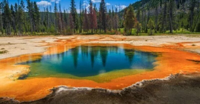 Yellowstone & Grand Tetons: 4-Day/3-Night Wildlife Adventure - An Honest Look at the Experience