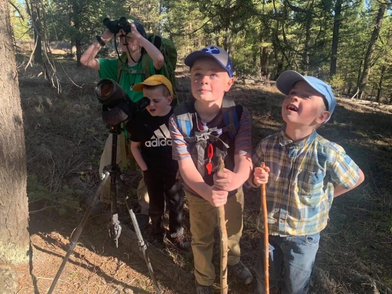 Yellowstone Old Faithful and Waterfall Tour - Who Will Love This Tour?