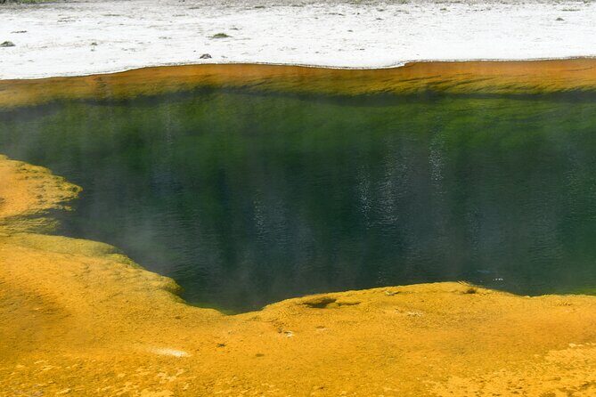 Yellowstone Park Private Day Trip from Big Sky - Full or Half Day - The Sum Up