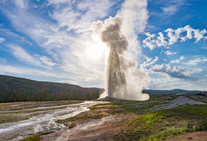 Yellowstone Private Tour Up To 14 Surprise Activity Included - What Makes This Tour Stand Out?