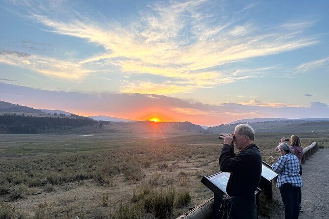 Yellowstone's Lamar Valley & Picnic With Wildlife Guide - What Reviewers Are Saying