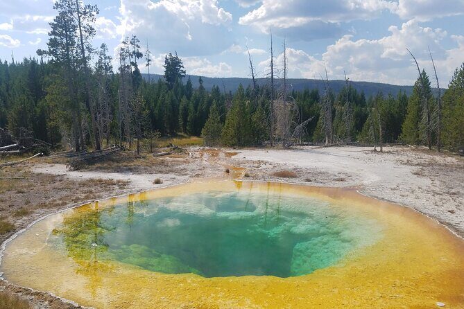 Yellowstone's Upper Geyser Basin: A Self-Guided Audio Tour - What to Expect from the Tour