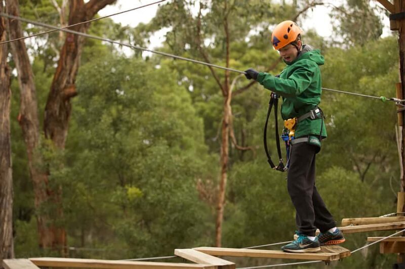 Yeodene: Tree Ropes Courses - Key Points