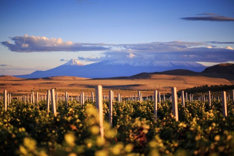 Yerevan: Khor Virap Day Trip with Mount Ararat Wine Tasting - Key Points