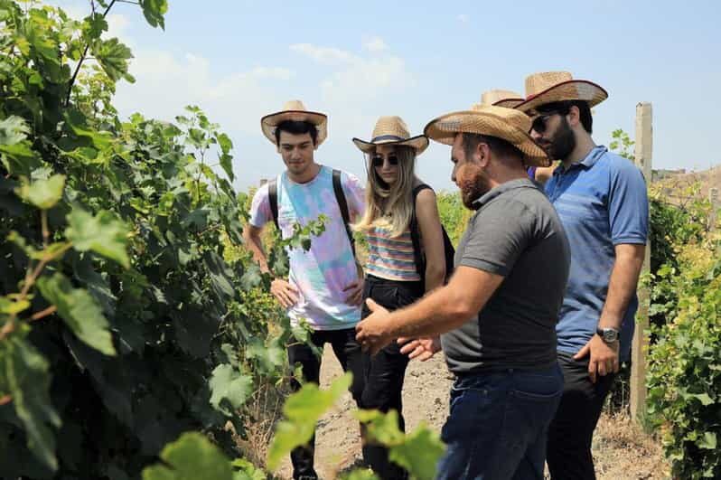 Yerevan: Khor Virap Day Trip with Mount Ararat Wine Tasting - Why You’ll Love This Tour