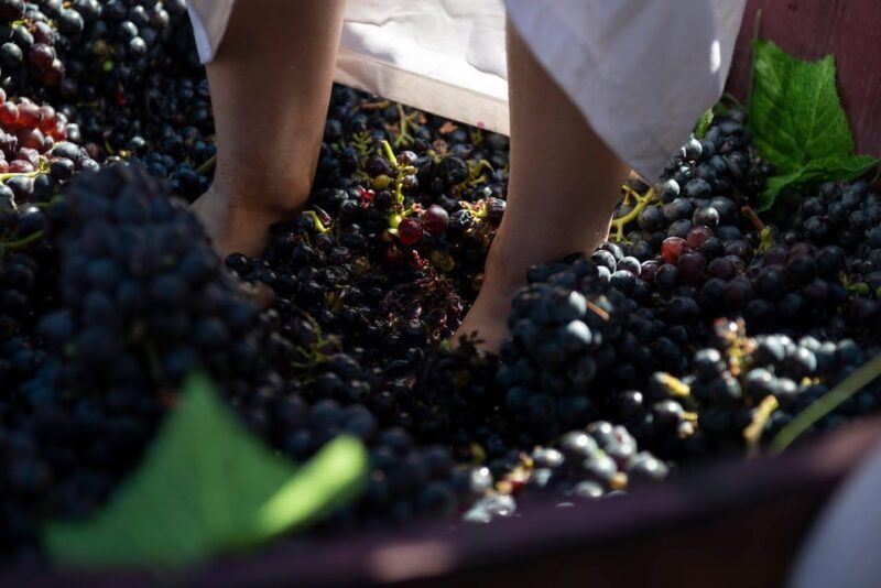 Yerevan: Khor Virap Day Trip with Mount Ararat Wine Tasting - Transportation, Timing, and Practicalities