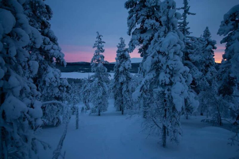 Ylläs: Guided Nordic Skiing Tour in Lapland Wilderness - Key Points