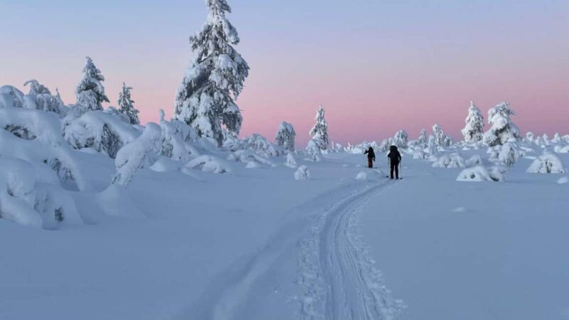 Ylläs: Guided Nordic Skiing Tour in Lapland Wilderness - Exploring the Ylläs Guided Nordic Skiing Tour