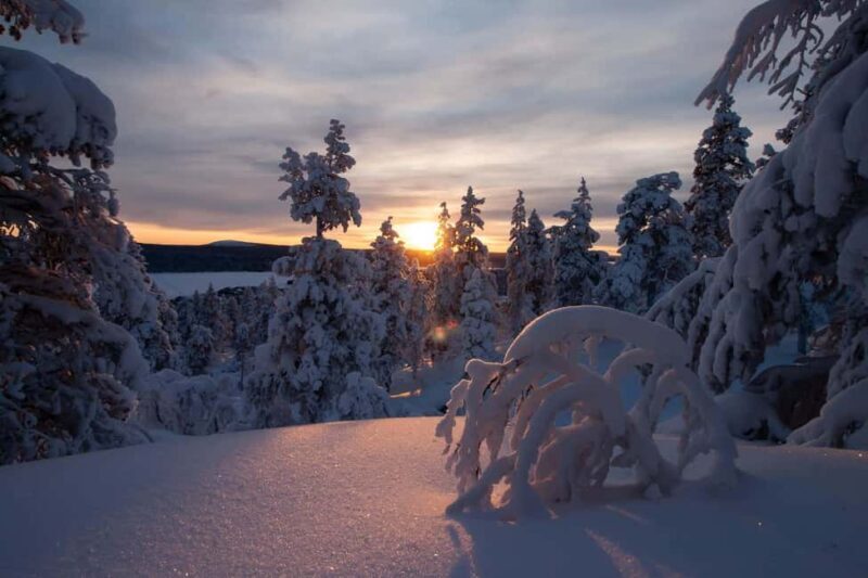 Ylläs: Guided Snowshoeing Adventure to Kesänki Fell - Key Points