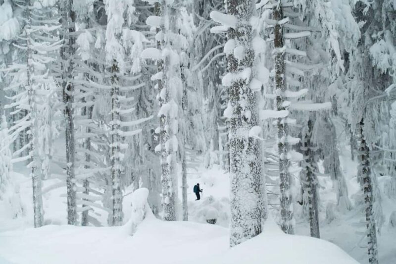 Ylläs: Guided Snowshoeing Adventure to Kesänki Fell - An In-Depth Look at the Tour Experience