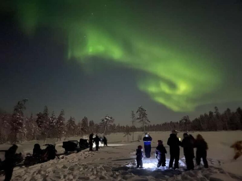 Ylläs: Northern Lights Snowmobile Safari with Transfers - Key Points