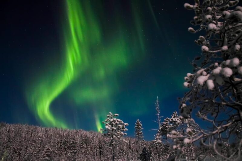 Ylläs: Seeking Northern Lights Photo Tour - Who Should Consider This Tour?
