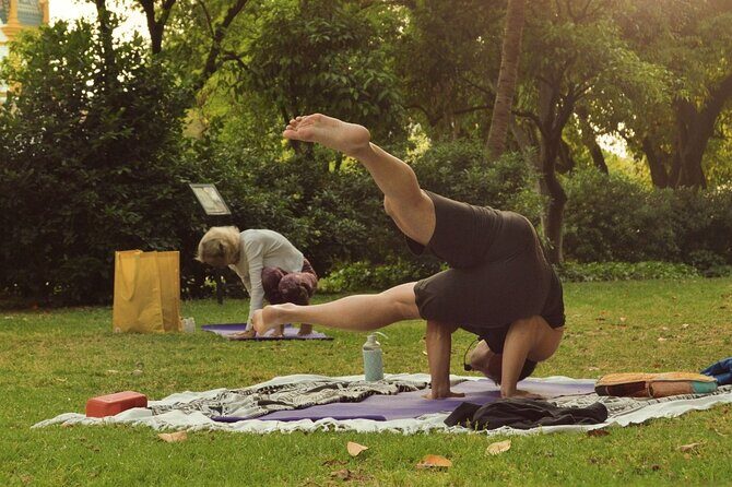 Yoga at María Luisa Park in Seville - Why This Yoga Experience Stands Out