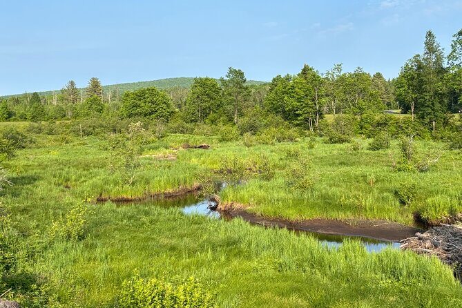 Yoga on the Farm in the Adirondacks - Value and Overall Impressions