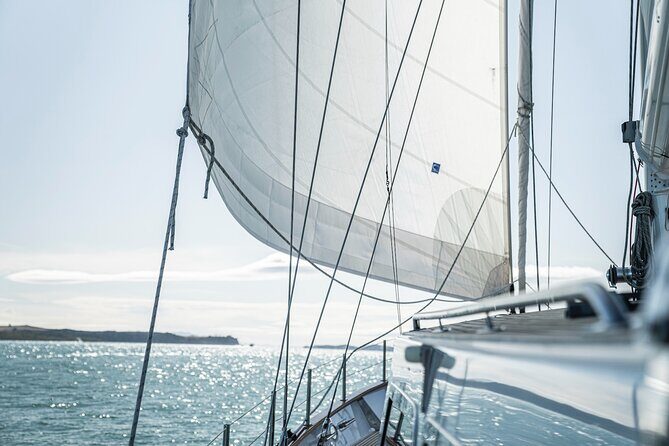 Yonder Star Sailing Yacht - An Honest Look at the Yonder Star Sailing Yacht Experience in Auckland