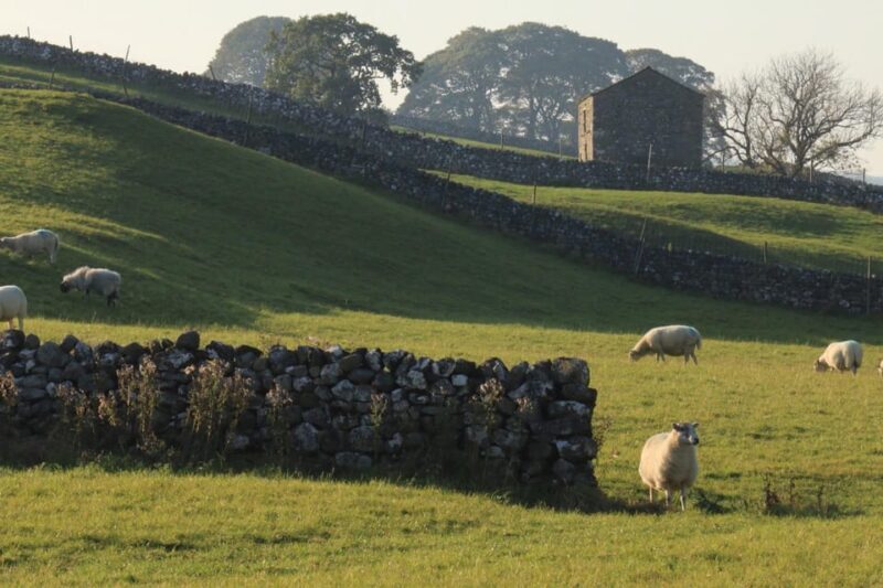 York: "All Creatures Great and Small" Yorkshire Dales Tour - Practical Tips for Travelers