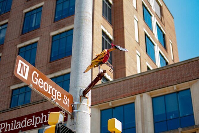 York Self Guided App Private Walking Tour - Who Will Love This Tour?