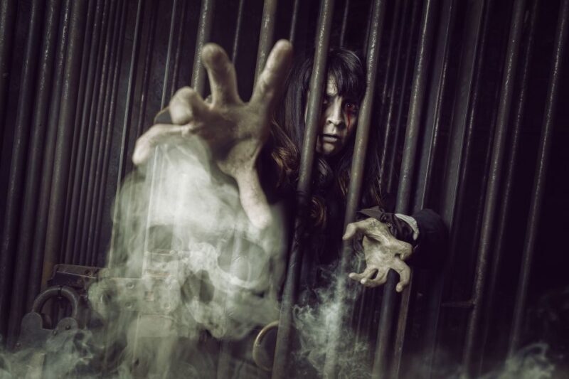 York: The York Dungeon Entry Ticket - What to Expect from The York Dungeon