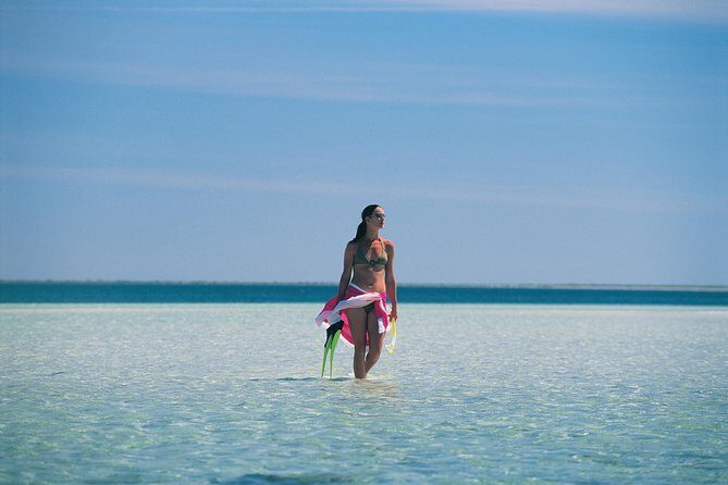 Yorke Peninsula 3-Day Small Group 4WD Eco Tour from Adelaide - Day 1: Exploring the Adelaide Hinterland