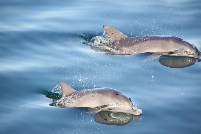 Yorke Peninsula 3-Day Small Group 4WD Eco Tour from Adelaide - Practical Considerations