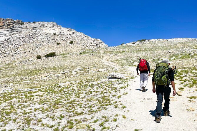 Yosemite: A Guided Father & Son Adventure - The Practicalities: What Travelers Should Know