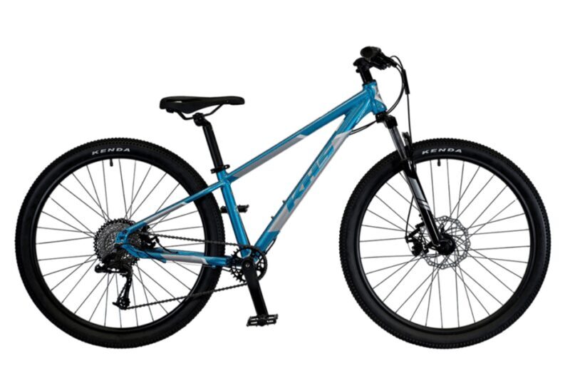 Yosemite Valley Area: Standard Bike Rental - Why Rent a Bike in Yosemite?